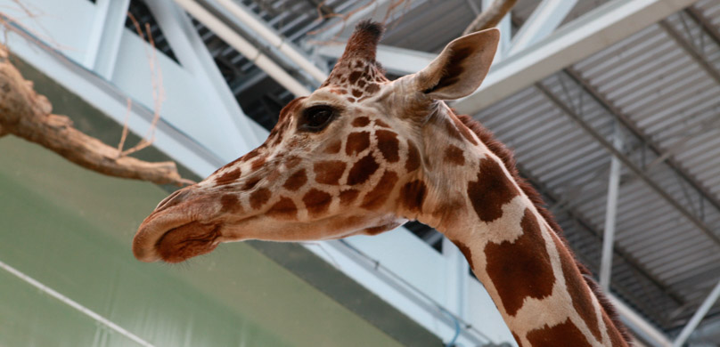 Off-Site Activities - Griffith Woods School